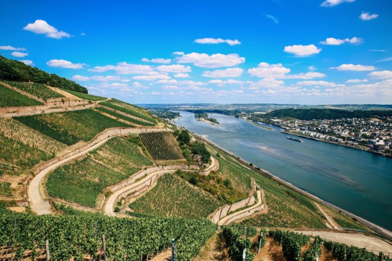 Rüdesheim am Rhein - 6 Tipps & Sehenswürdigkeiten - Berg & Taal ...